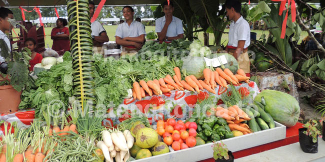 Tonga Agricultural shows for happy healthy Tongans start July 27 ...