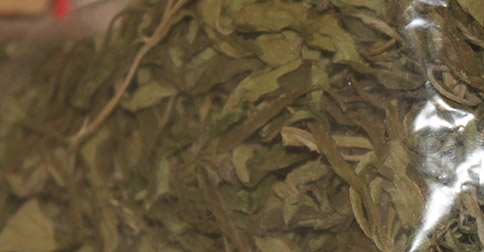 Stall owner who sold drugs gets another chance | Matangi Tonga