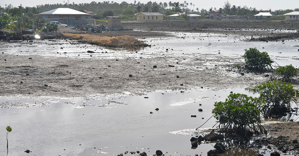 Protecting natural habitats essential for Tonga tourism development ...