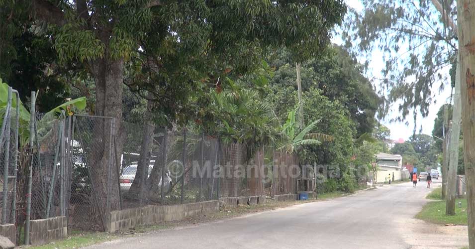 Mango tree addresses miss out on home deliveries | Matangi Tonga