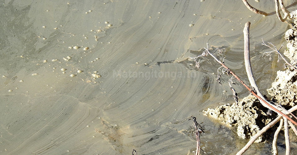 Brown waste scum in public swimming pool raises concerns over seafront ...