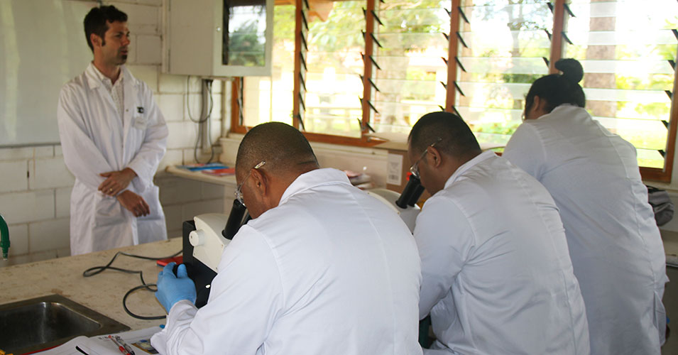 Tonga Police trained in drug identification | Matangi Tonga