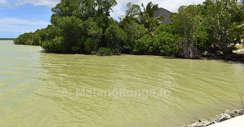 Polluted Fanga'uta Lagoon needs action by everyone, says CEO | Matangi ...