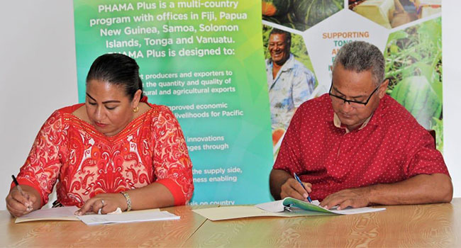 Partnership to improve rootcrop exports | Matangi Tonga
