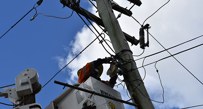 Four involved in Tonga Power staff petition take time out | Matangi Tonga