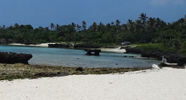 Tackling marine pollution, focus for 12 new Pacific scholarships ...