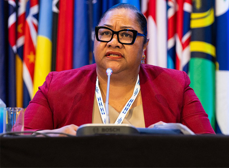 Law enforcement experts call for regional response to combat rise in ...