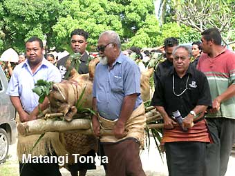 Fakalelea for Hon. Fanetupouvava'u at Mahinafekite | Matangi Tonga