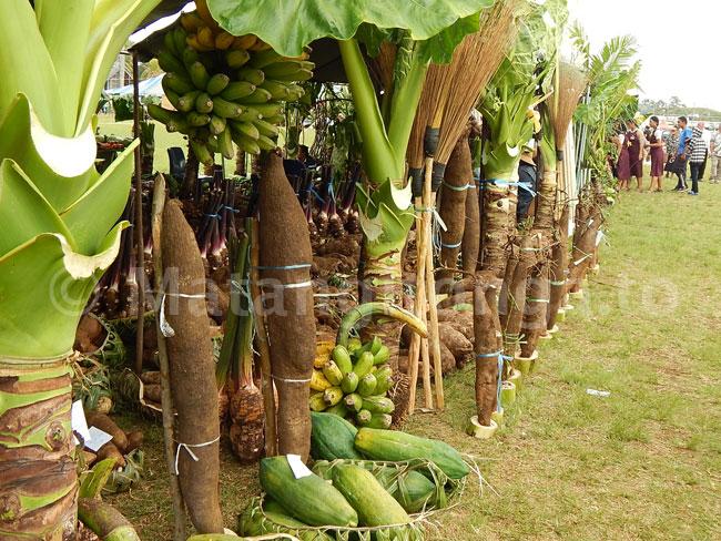 King opens Tongatapu Agricultural Show 2014 | Matangitonga