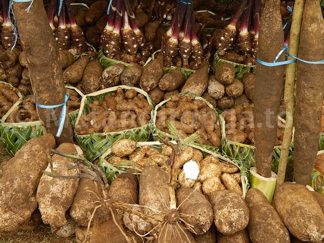 King opens Tongatapu Agricultural Show 2014 | Matangitonga