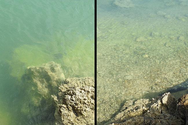 Brown waste scum in public swimming pool raises concerns over seafront ...