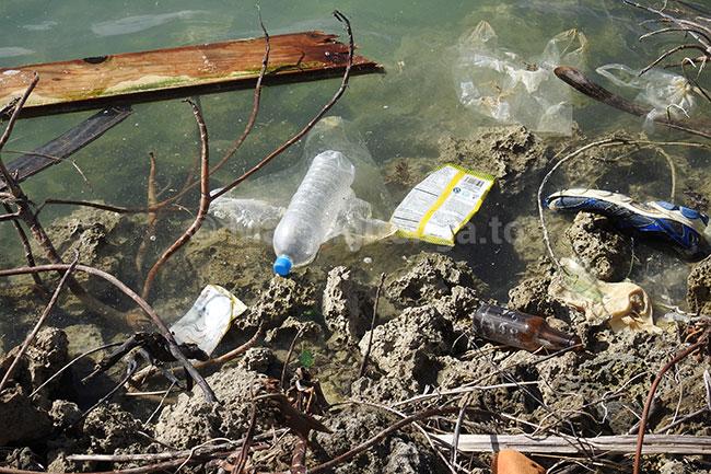 Brown waste scum in public swimming pool raises concerns over seafront ...
