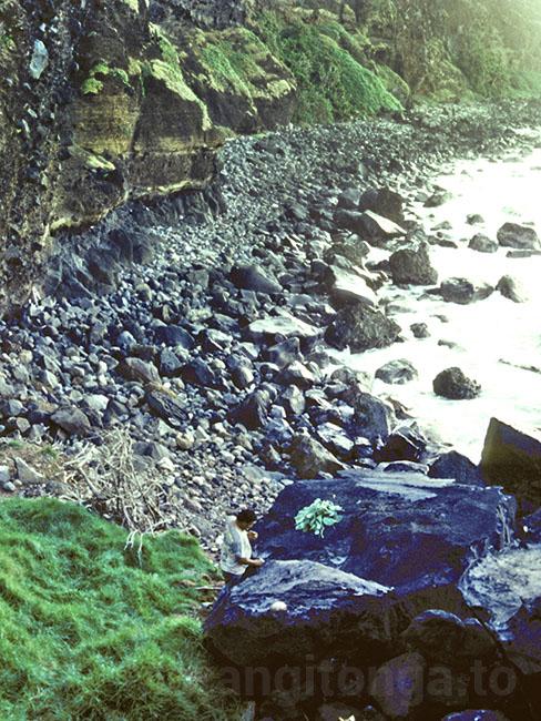 ‘Ata and its archaeology | Matangitonga