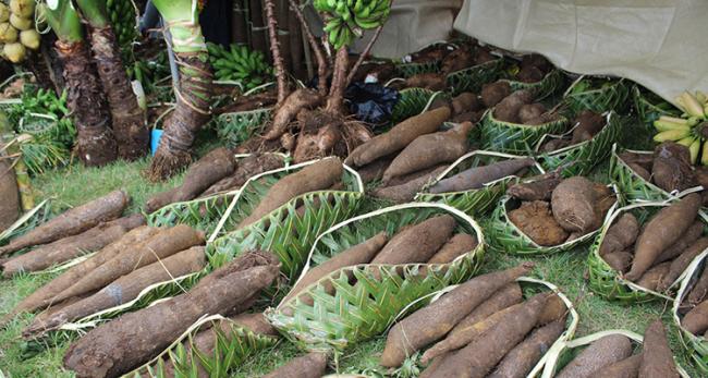 Abundance of foodstuff at Vava‘u Show | Matangi Tonga