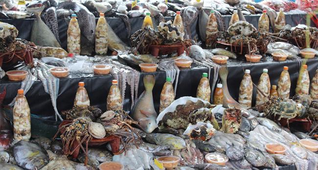 Abundance of foodstuff at Vava‘u Show | Matangi Tonga