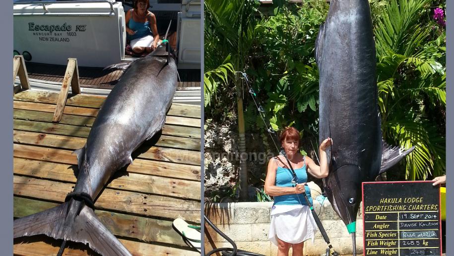 Monster Blue Marlin sets new record | Matangi Tonga