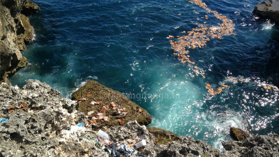 Rotten dumping destroys scenic coast | Matangi Tonga