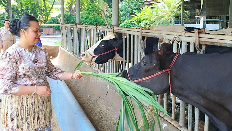 Princess visits Thai royal project | Matangi Tonga