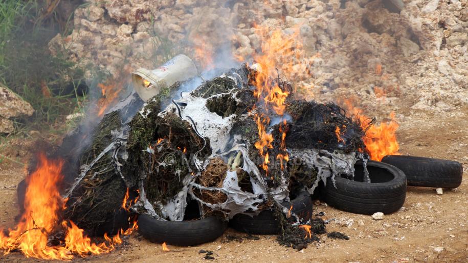 Toxic fumes in cannabis burn | Matangi Tonga