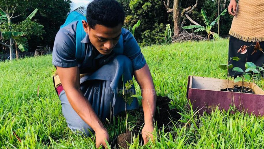 Tree planting by Government schools | Matangi Tonga