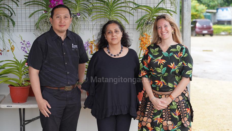 IFAD agricultural development aims to rebuild Tonga's informal economy ...