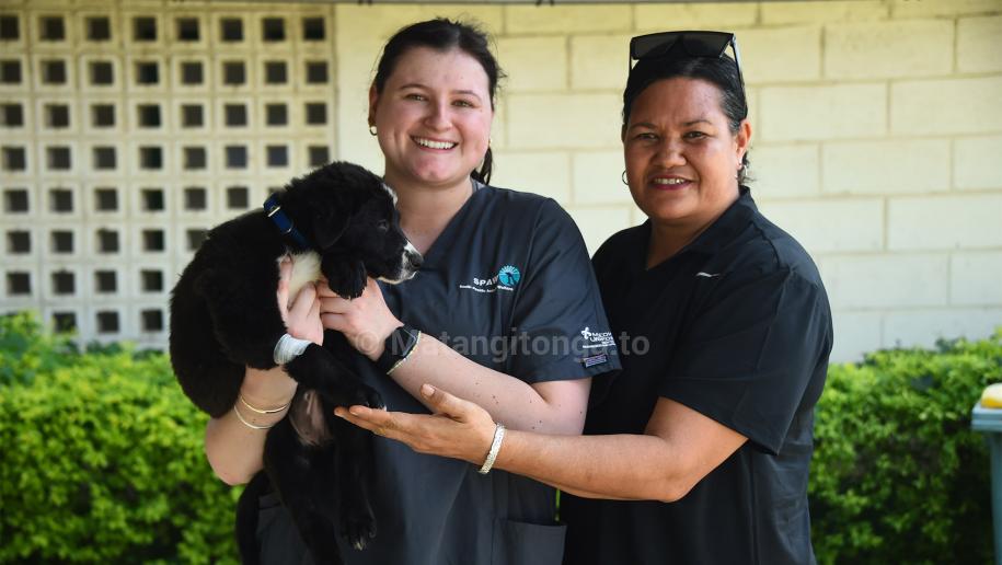 Friday last day for SPAW vet clinic at Tokomololo | Matangi Tonga