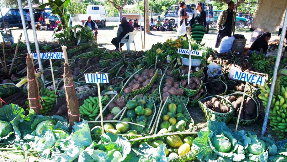 Tongan growers search for export markets | Matangi Tonga