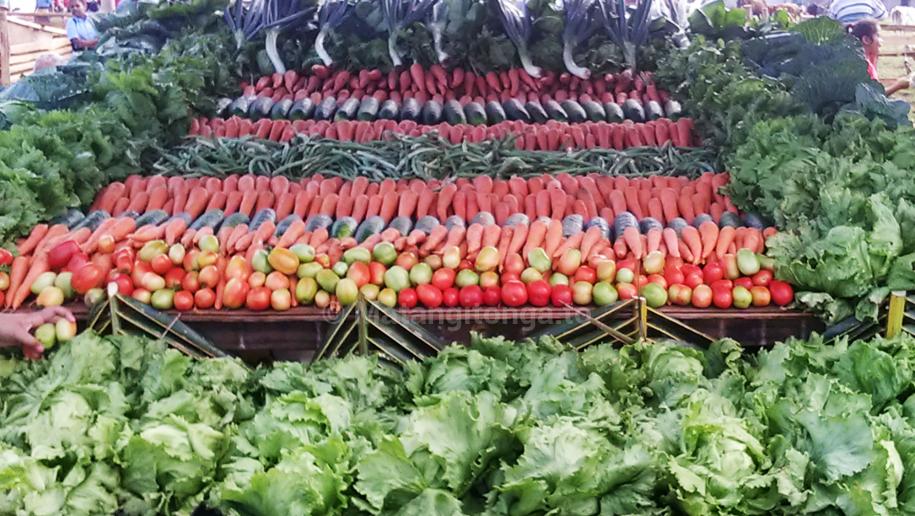 Matangitonga | Tonga's Leading News Website