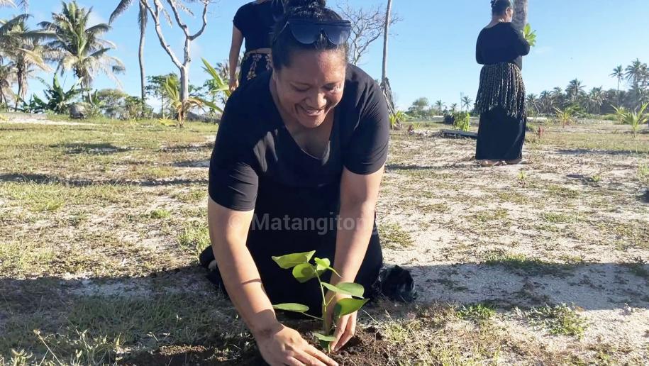 Tree planting to restore Kanokupolu and Ha’atafu coasts | Matangi Tonga
