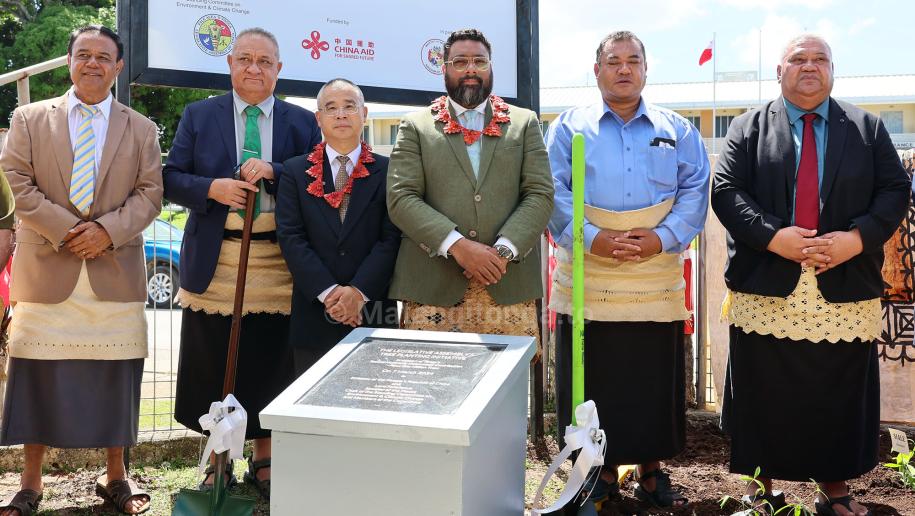 Tree-planting at Fale Alea supports goal of one million trees | Matangi ...